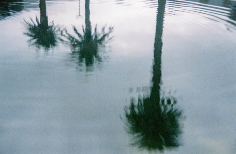 Florida Water Damage: 5 Essential Tips